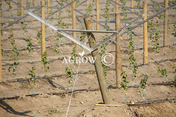 Open Gable Trellis End Crossarm - Comprar Vineyard Trellis End Crossarm ...