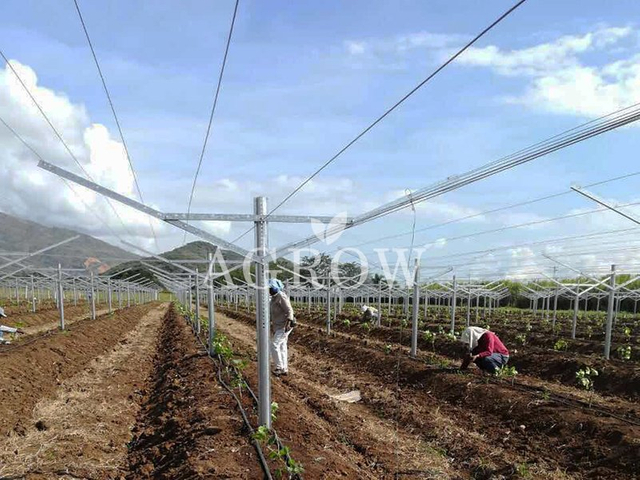 Estructura para Huertos y Viñedos , Sistema de Cubiertas para la ...